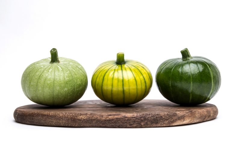 Desarrollo de nueva variedad de hortaliza denominada ZUCCHIOLO® – Agrointec